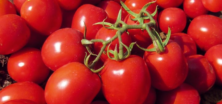 MacFrut 2016 | JWEuropean